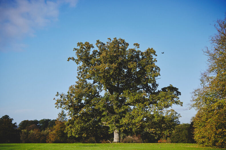7 Reasons Rathsallagh Country House Deserves Every Wedding Venue Award ...